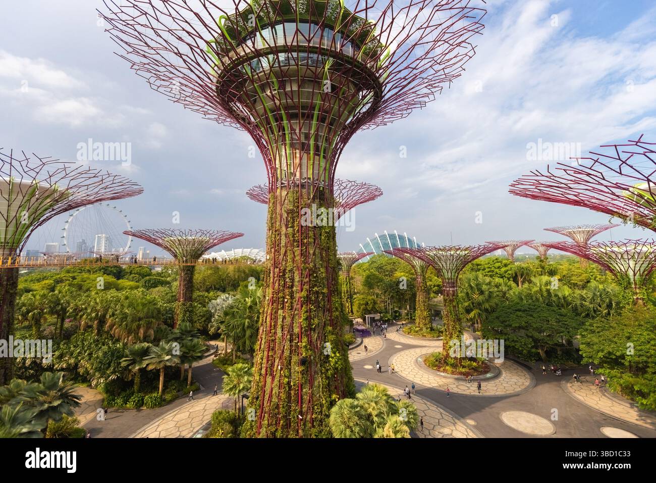 Gardens By the Bay futuristic trees view from the bottom Singapore ...
