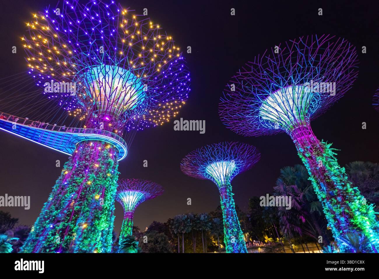 Gardens by the Bay futuristic trees illuminated at night Singapore ...