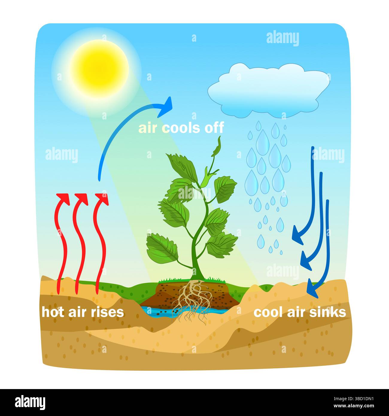 Convection process diagram. Warm air rises and cool air sinks. Hot and ...