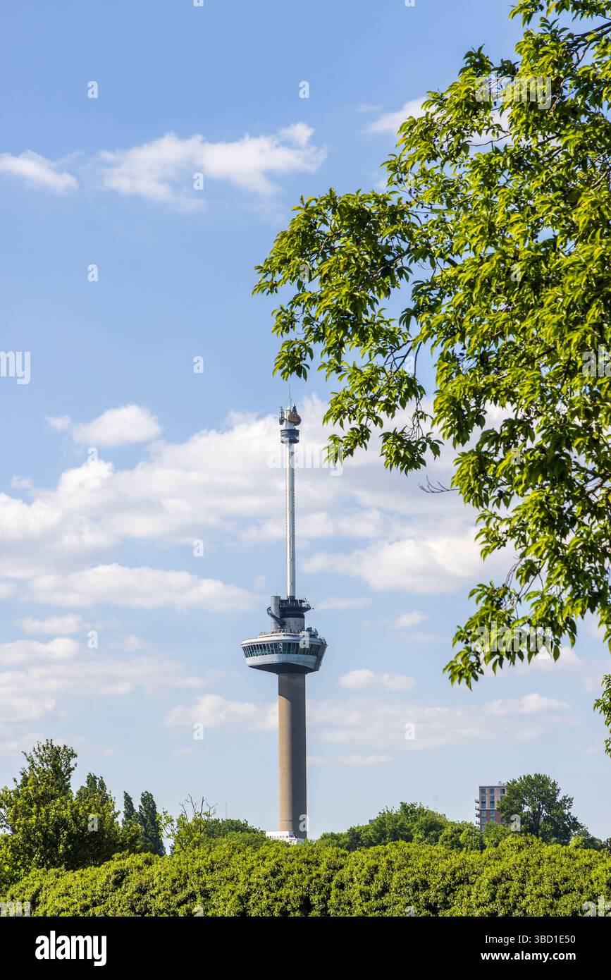 Skyline Rotterdam with famous Euromast tower in port city in South ...