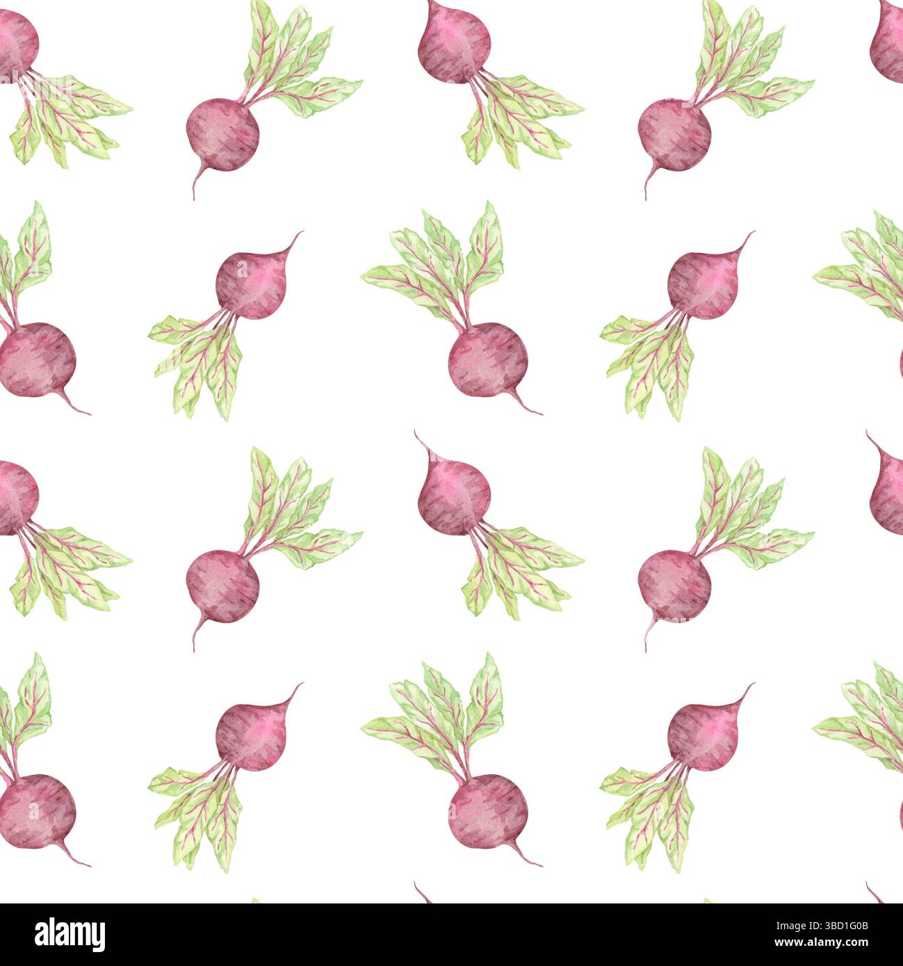 Purple beets with leafy green tops in watercolor clipart. Garden ...