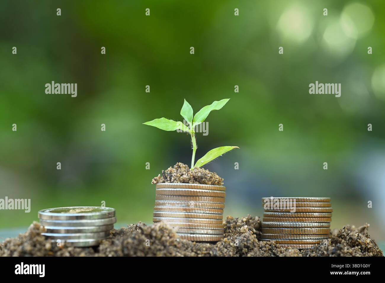 Economic growth, savings, and future financial success concept Stock ...