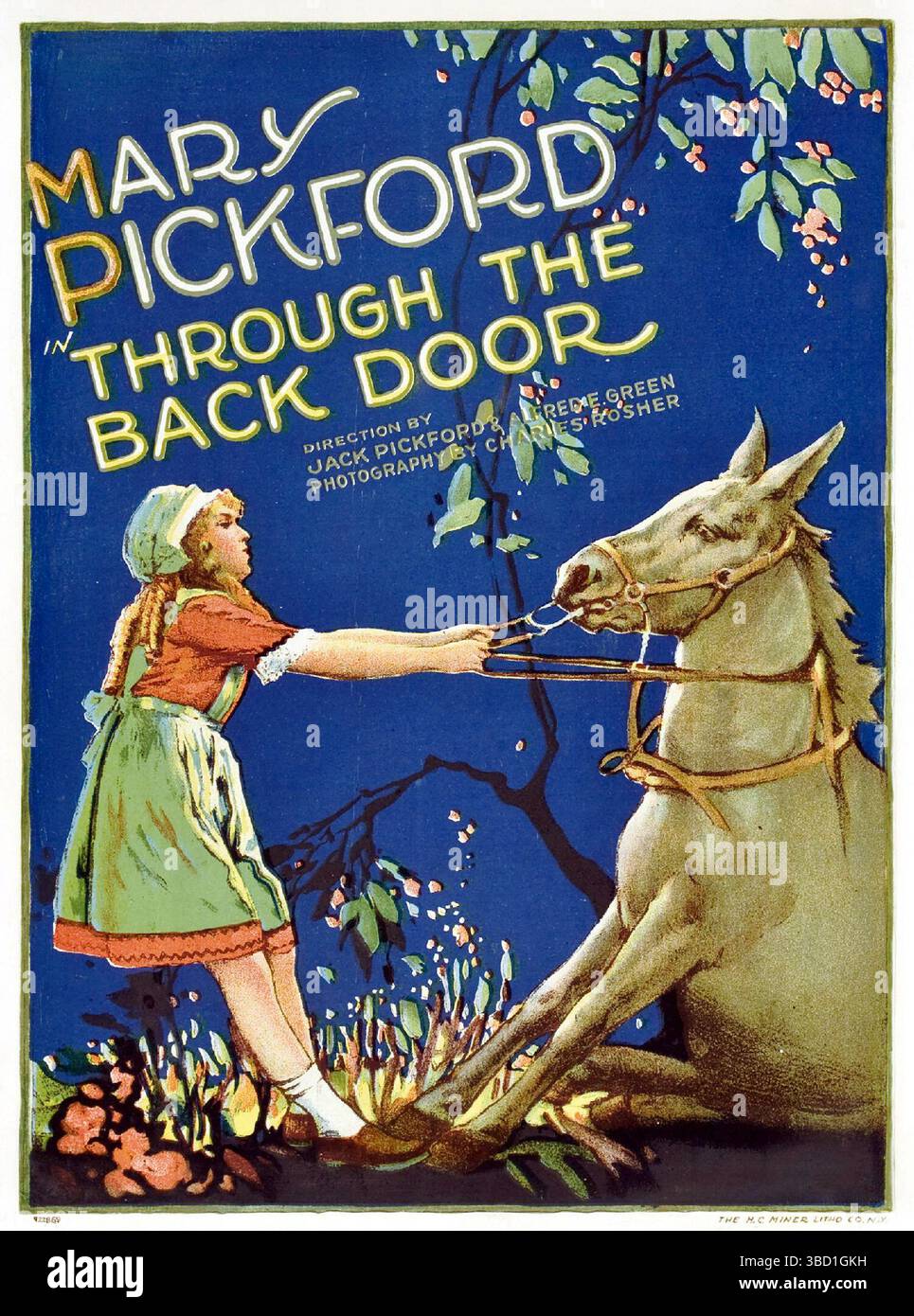 Vintage movie poster for the 1921 film Through the Back Door Stock ...
