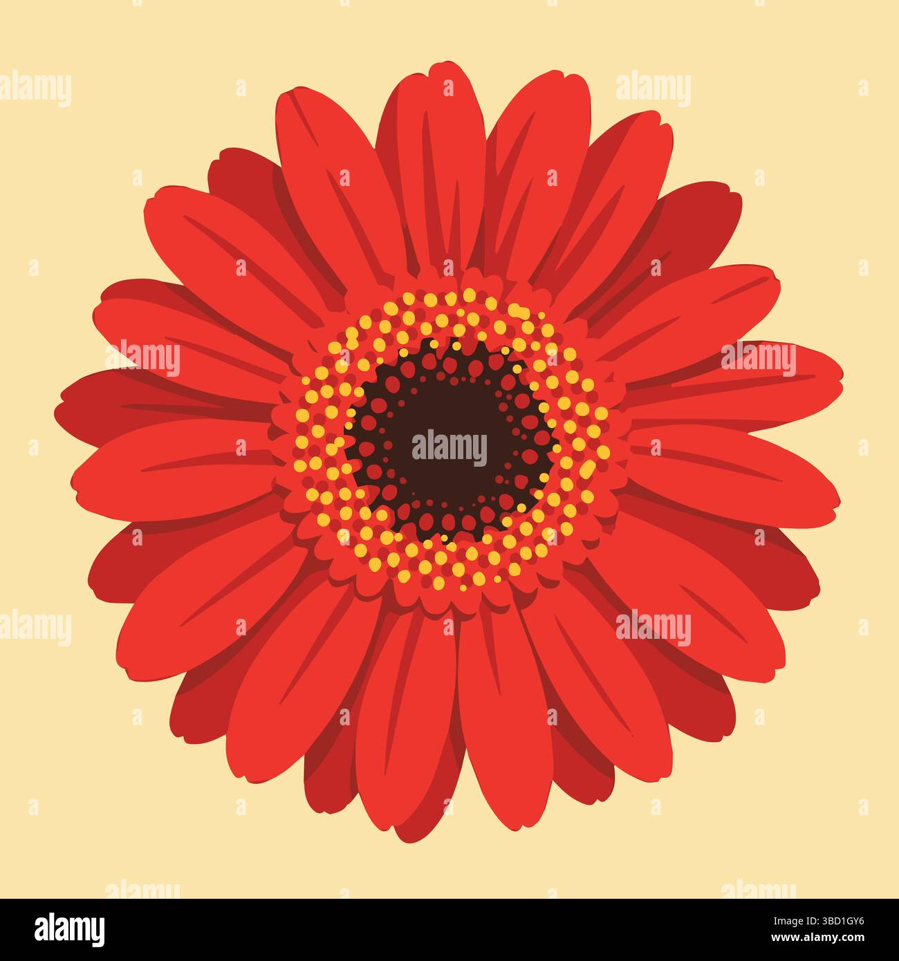 A single red Gerbera flower depicted on a light yellow background Stock ...