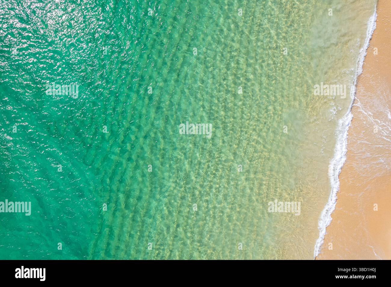 shore of a beach with pristine turquoise waters and golden sand ...