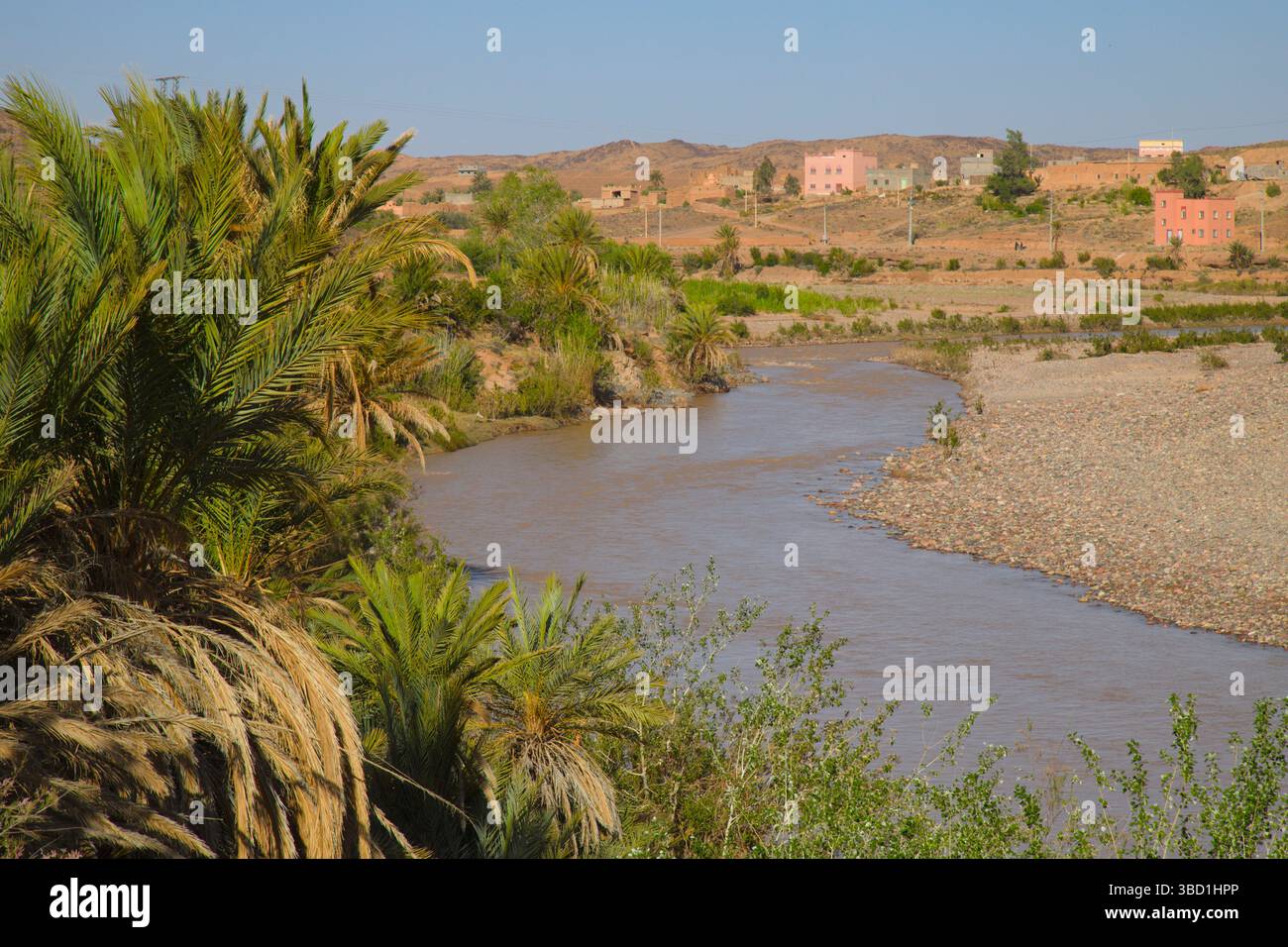 Flah hi-res stock photography and images - Alamy