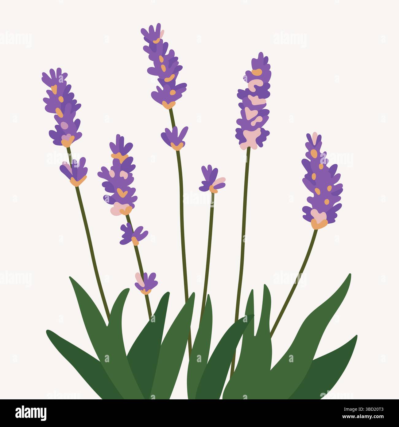 Bunch lavender flowers, hand drawn art. Simple cartoon floral vector ...