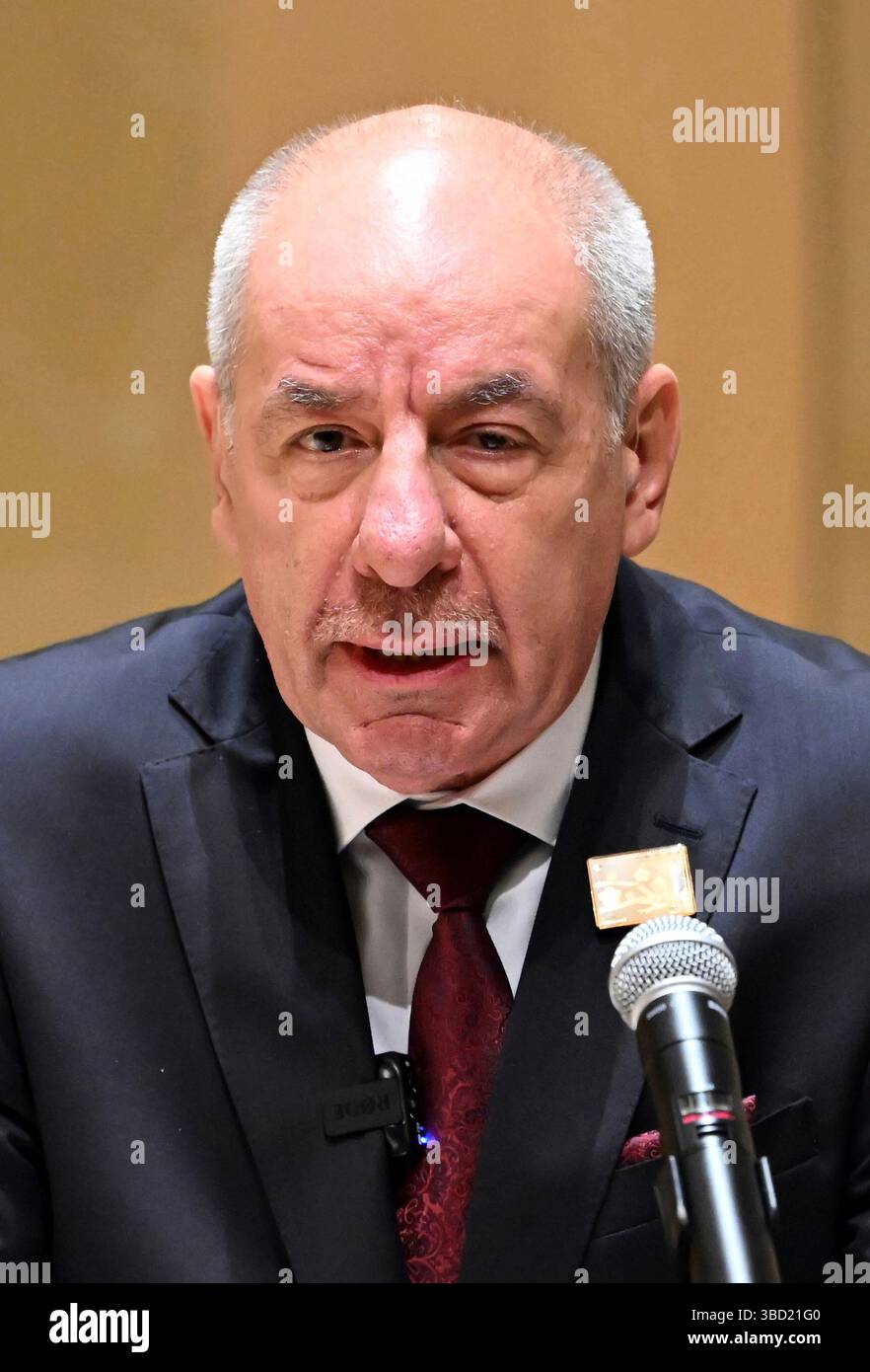 Hungarian President Hungarian President Tamas Sulyok attends Japan ...