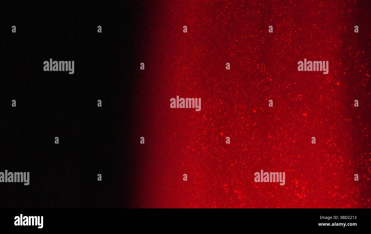 Red Pepper Closeup, Studio Shot, Food Photography: Vibrant color ...