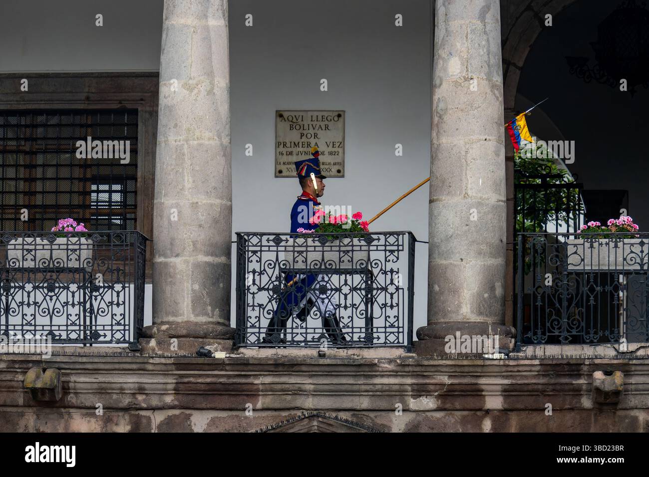 A presidential guard in ceremonial uniform on duty at the Presidential ...