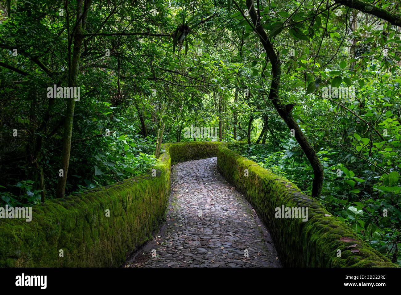 The trail to the Cascada de Peguche waterfall, Otavalo, Ecuador Stock ...