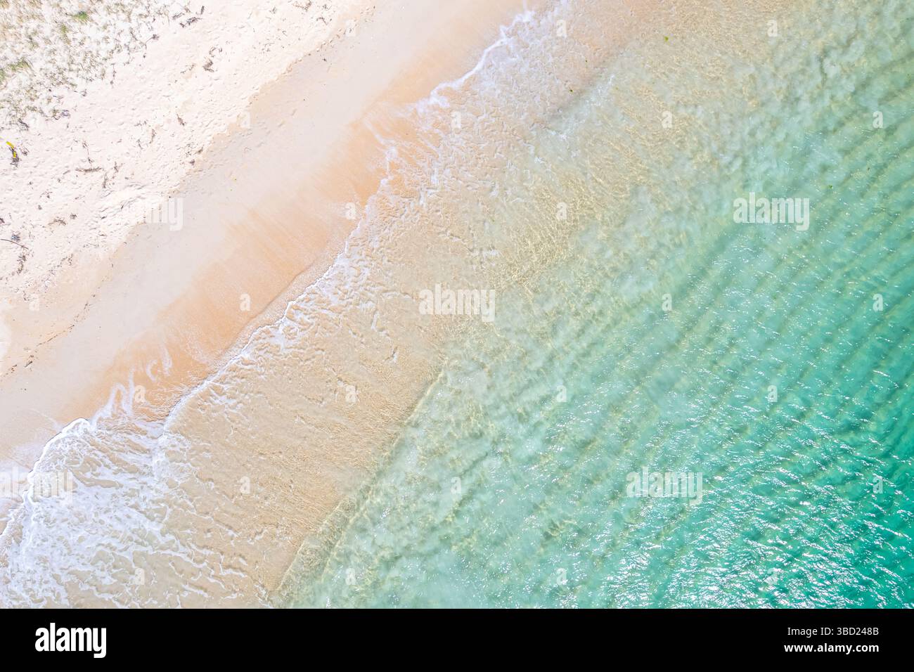 shore of a beach with pristine turquoise waters and golden sand ...