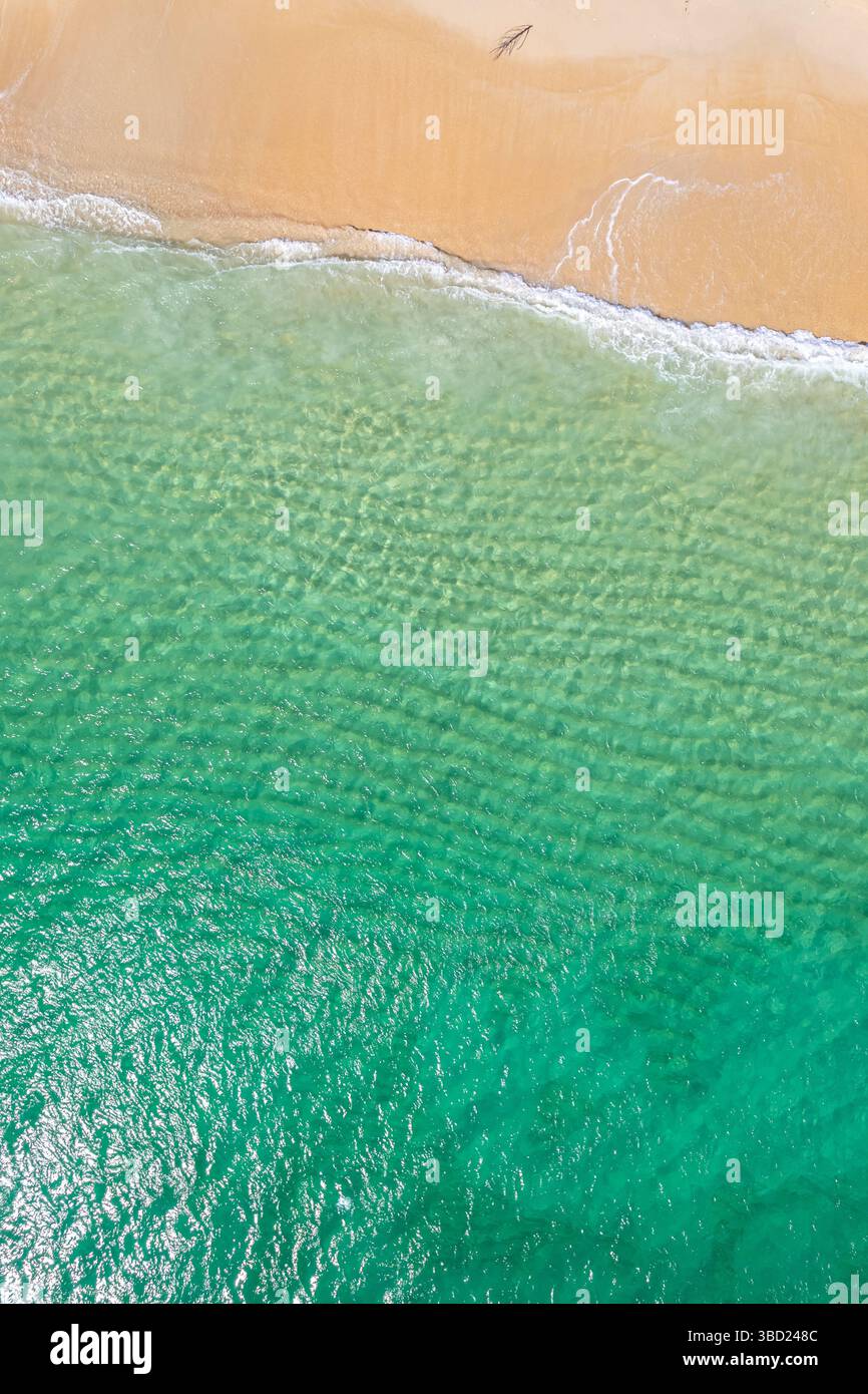 shore of a beach with pristine turquoise waters and golden sand ...