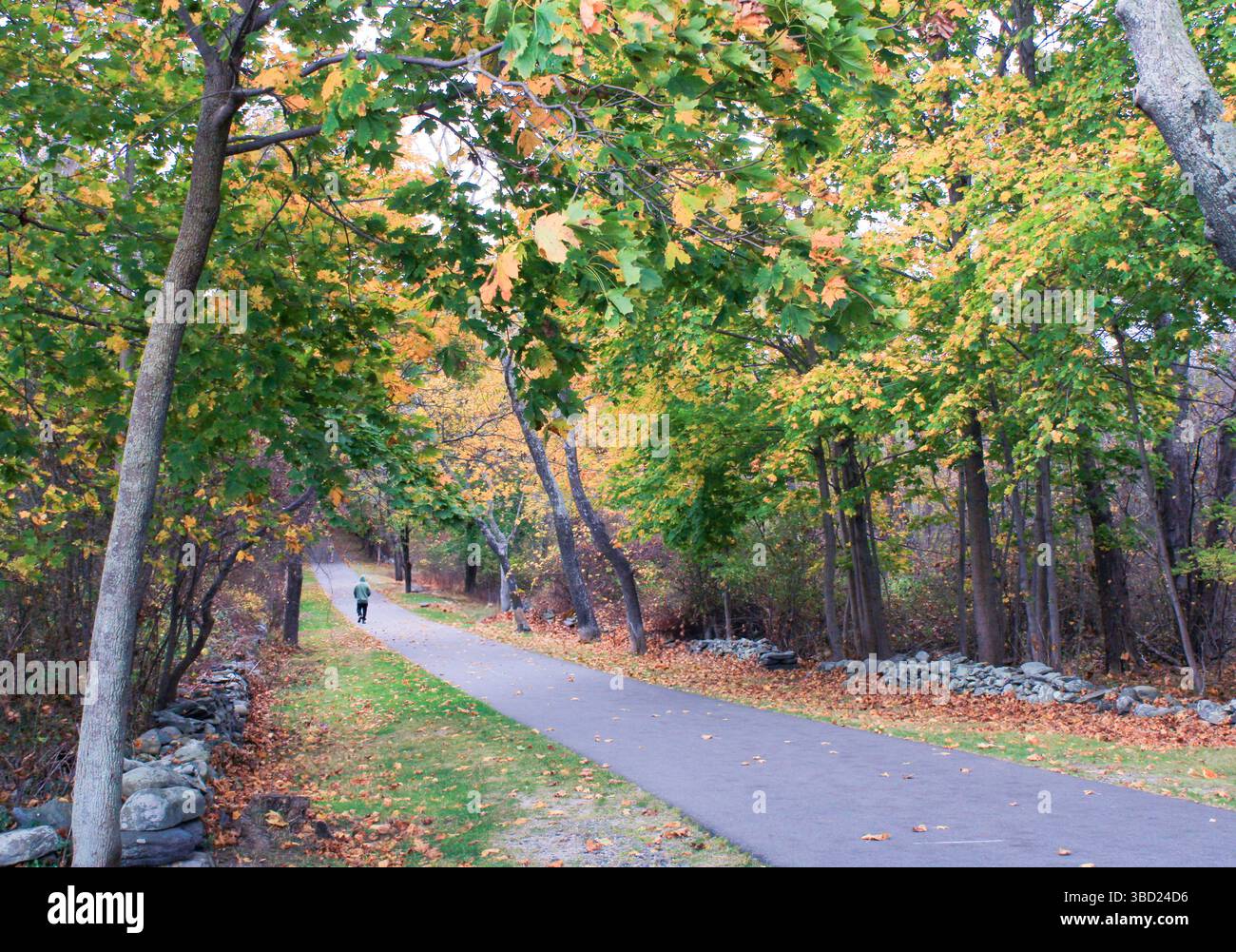 Autumn perfection in Rhode Island. This park is absolutely glowing with ...