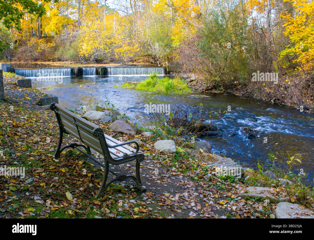Autumn's breathtaking display: a footbridge spans flowing water ...