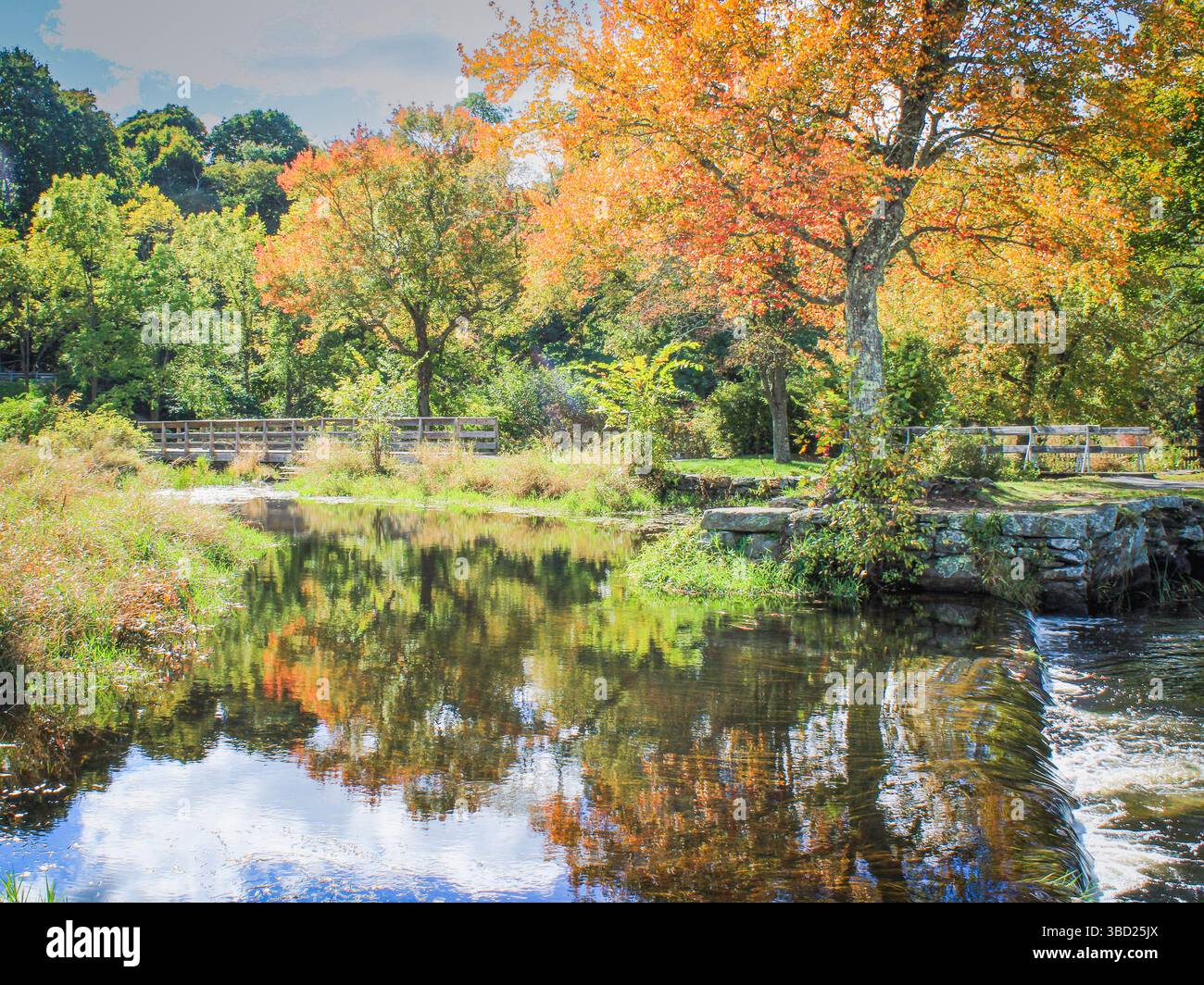 Autumn's breathtaking display: a footbridge spans flowing water ...
