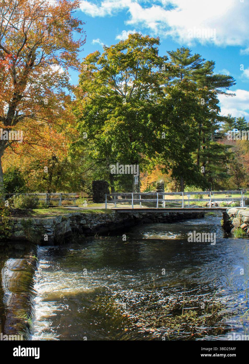 Autumn's breathtaking display: a footbridge spans flowing water ...