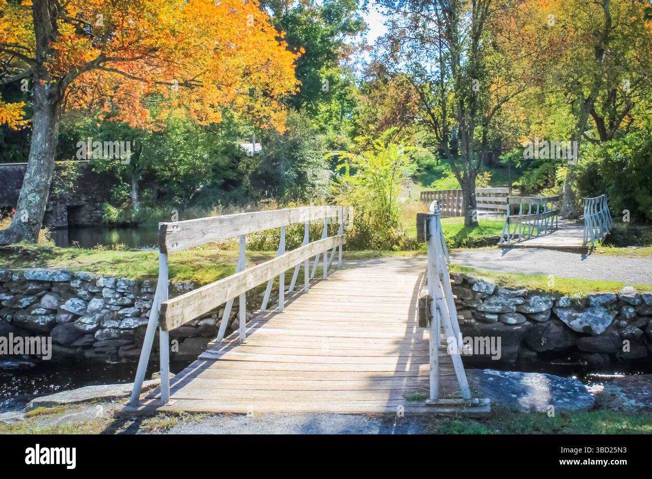 Autumn's breathtaking display: a footbridge spans flowing water ...
