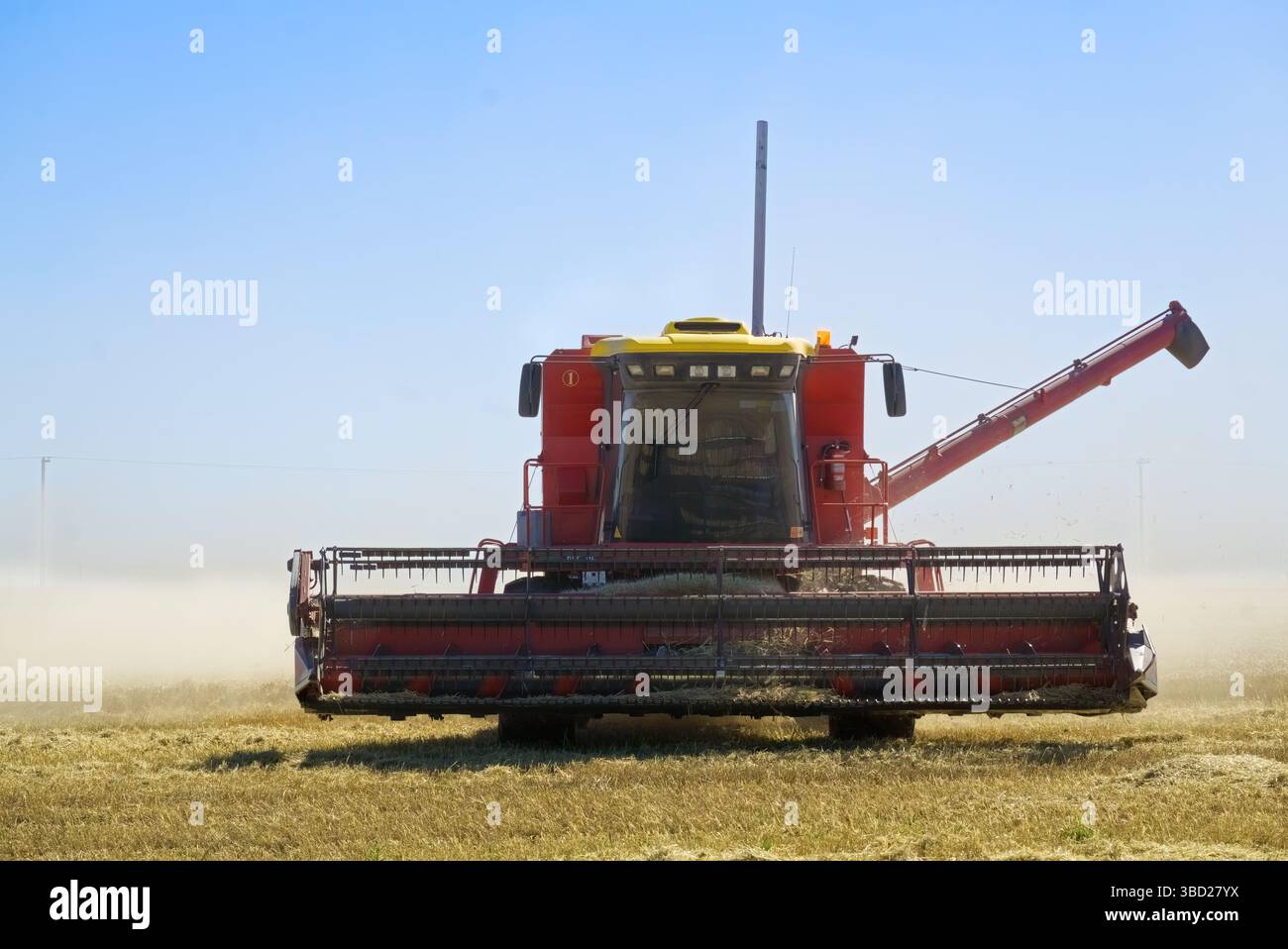 Red Combine harvester harvesting a golden barley field coming straight ...