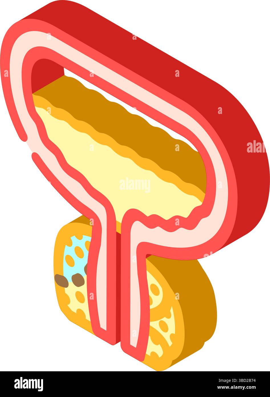Varicocele hi-res stock photography and images - Alamy