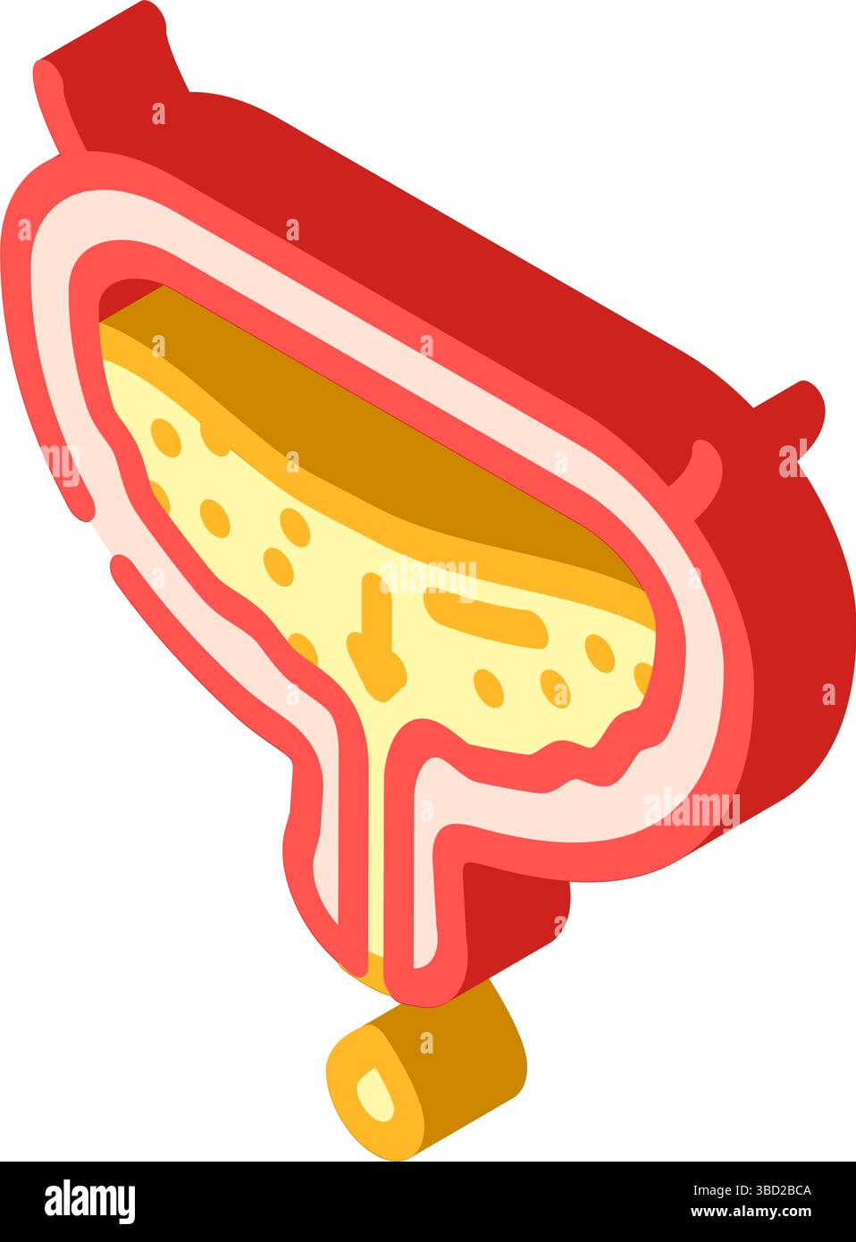 incontinence urology isometric icon vector illustration Stock Vector ...