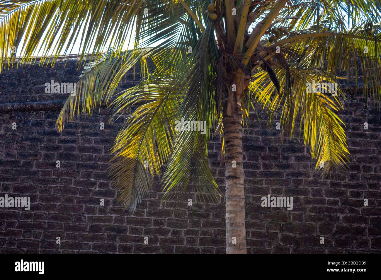 Fort Aguada in northern Goa, India Stock Photo - Alamy