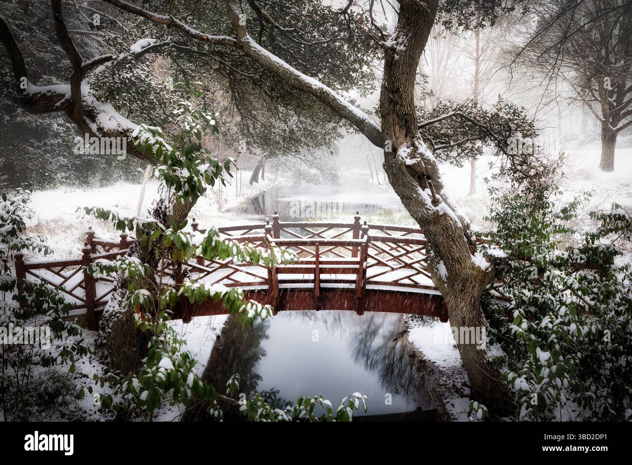West of the Governors Palace, in a little forest, is this little bridge ...