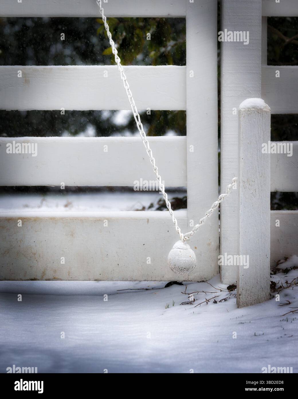 Snow gathers on the ball of a gate closer on an outside door at ...