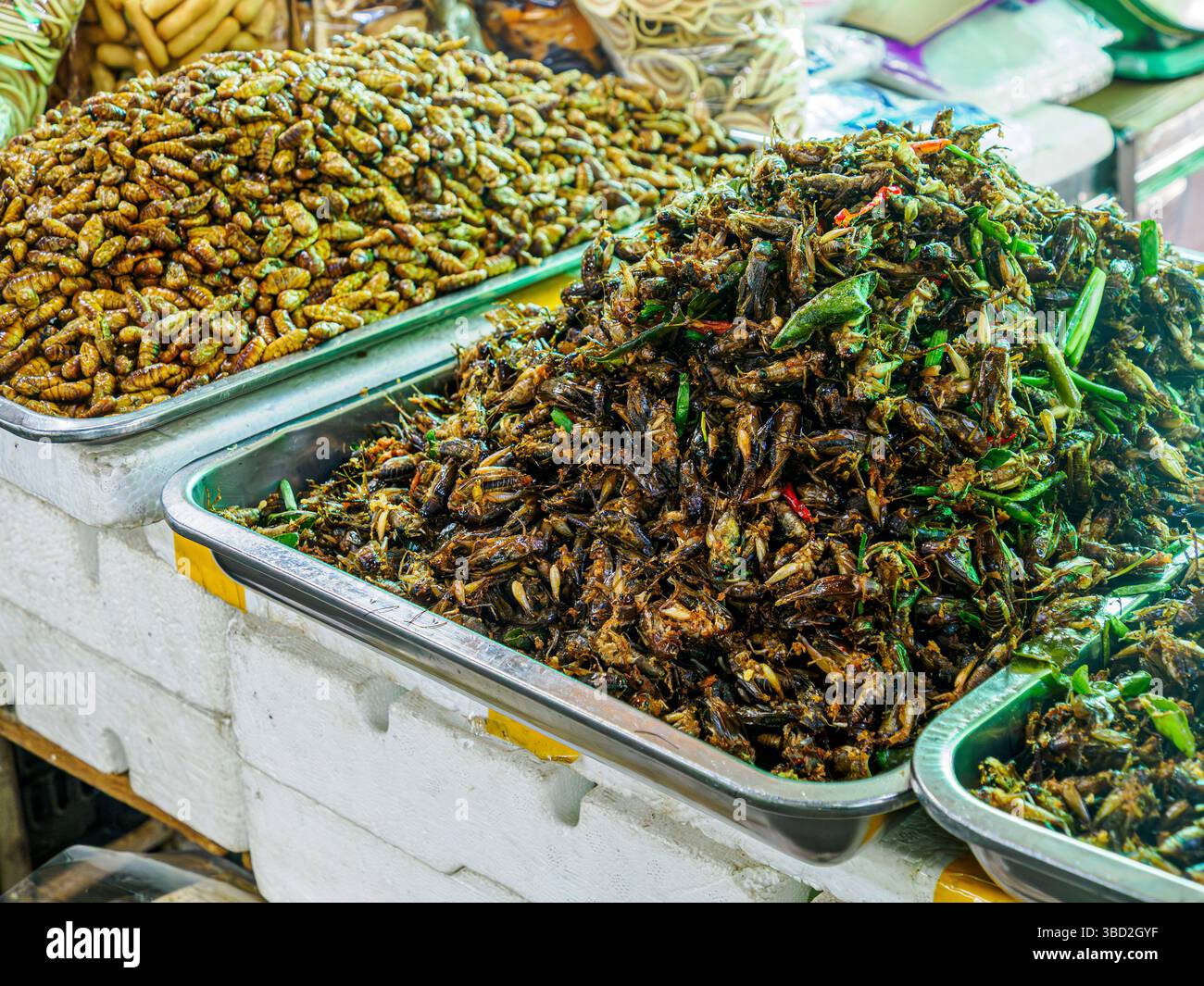 Insects and grubs for sale at the Phnom Penh Central Market, Phnom Penh ...