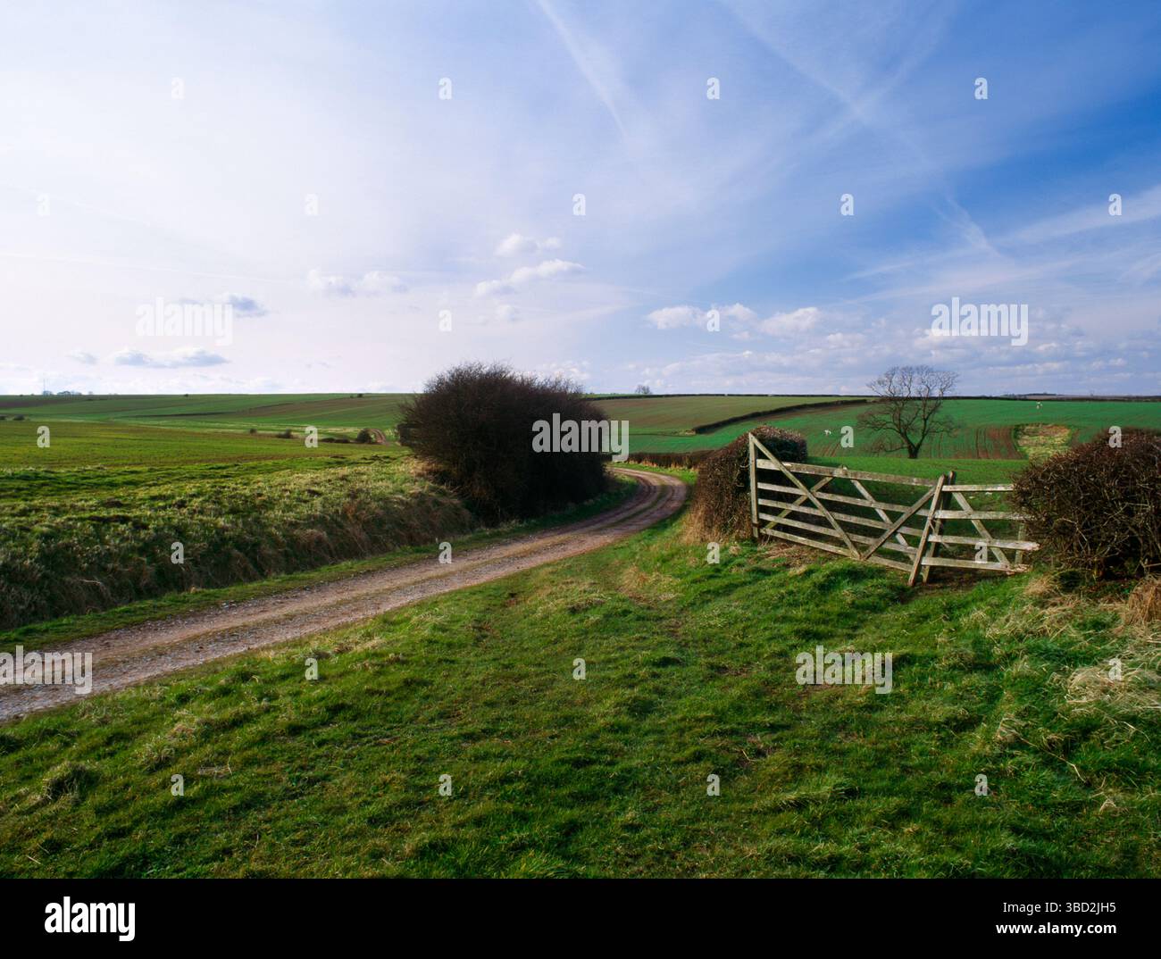 Medieval farming hi-res stock photography and images - Alamy