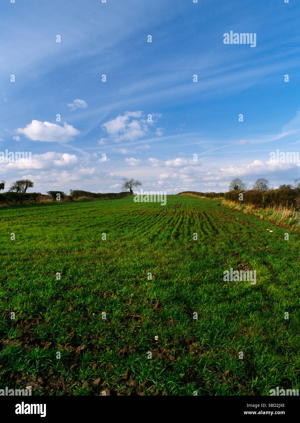 Medieval open field strip farming hi-res stock photography and images ...