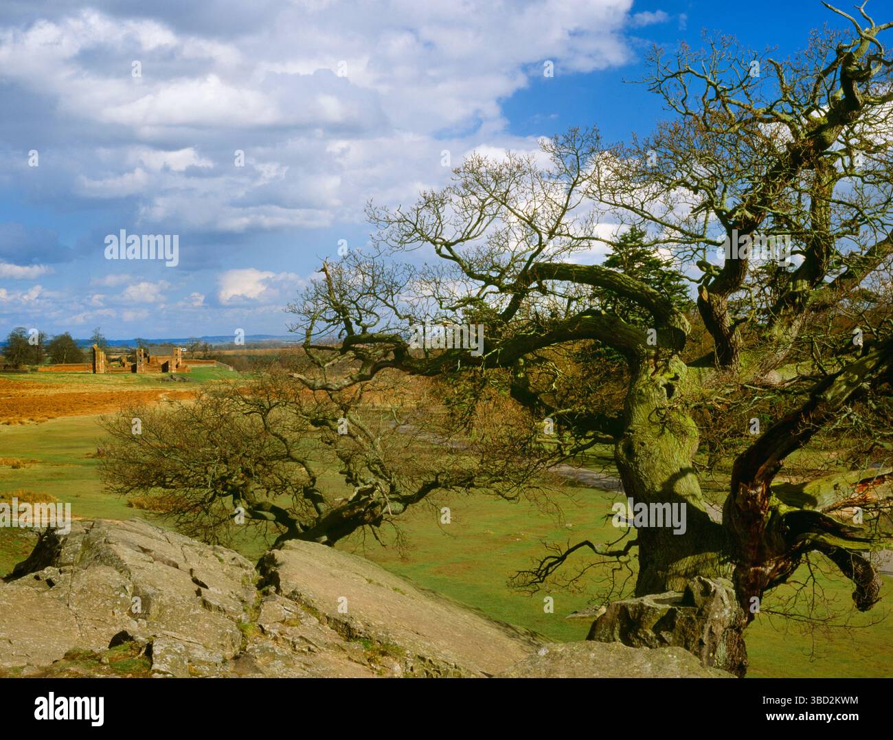 View E of Bradgate Park & the ruined Tudor House, Leicestershire ...