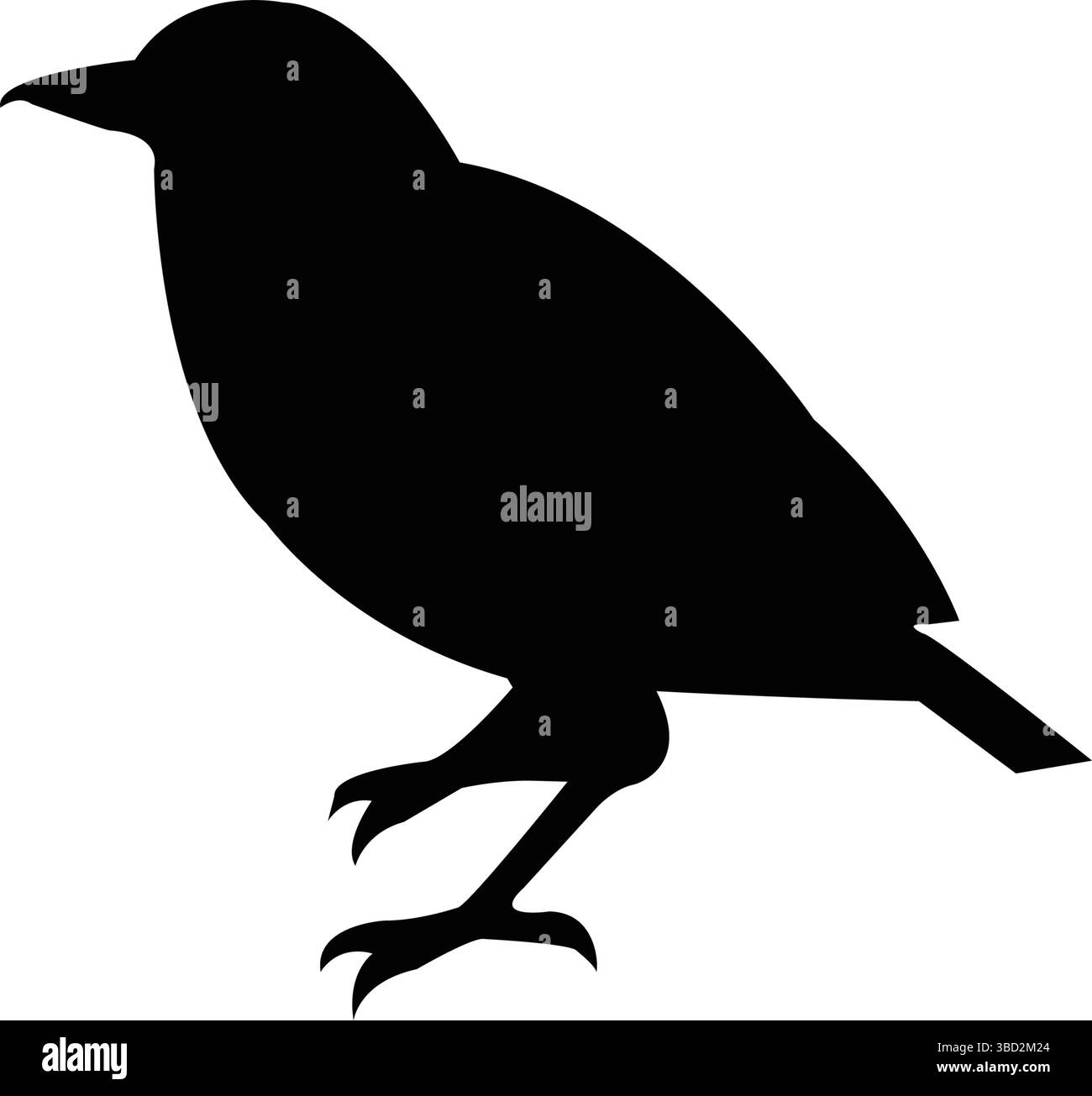 Crow silhouette vector illustration. Black bird icon design on white ...