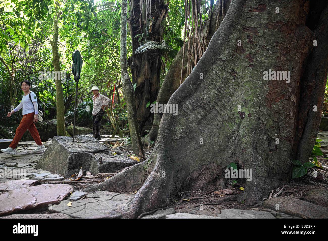 (250522) -- BAOTING, May 22, 2025 (Xinhua) -- This photo taken on May ...