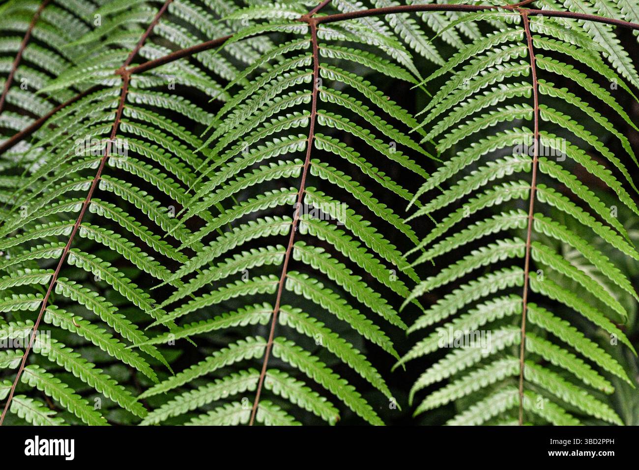 (250522) -- BAOTING, May 22, 2025 (Xinhua) -- This photo taken on May ...