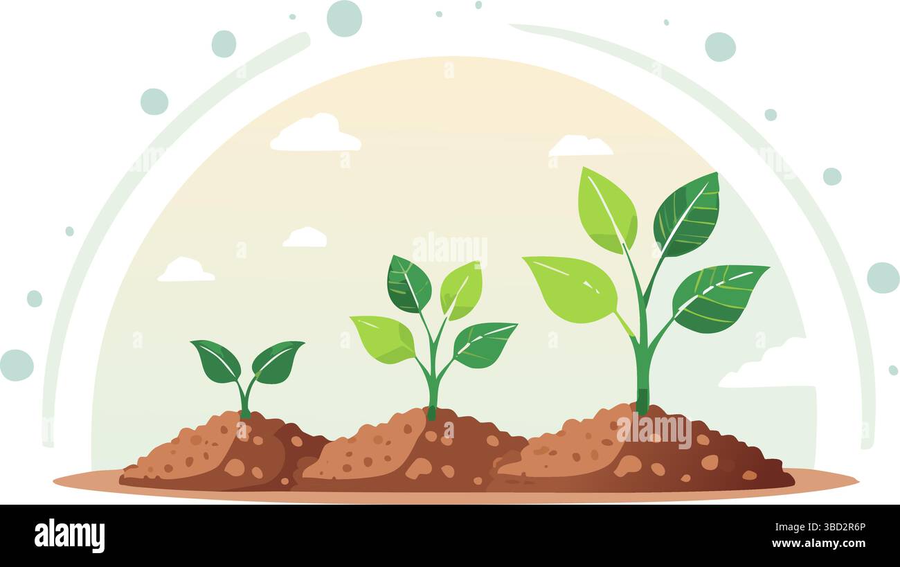 Stages of plant growth in an illustrated flat scene. Leaf sizes and ...