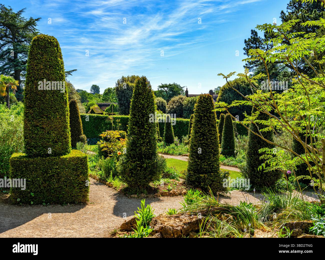 Part of the Pillar Garden of clipped Yews at Hidcote Manor Gardens one ...