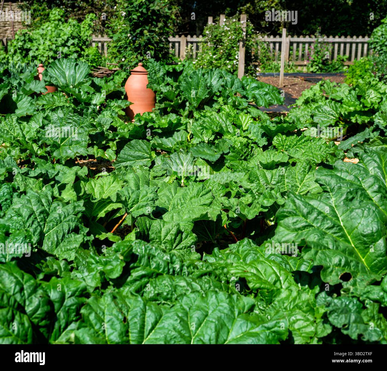Hidclote manor gardens hi-res stock photography and images - Alamy