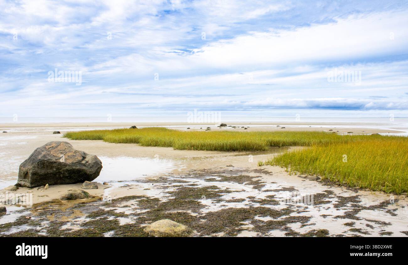 Wander the Cape Cod saltmarsh! Long wooden boardwalks invite ...
