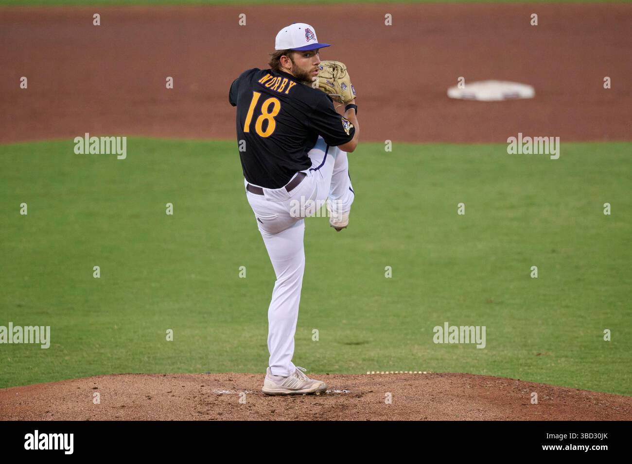 East Carolina Pirates pitcher Ethan Norby (18) during an American ...