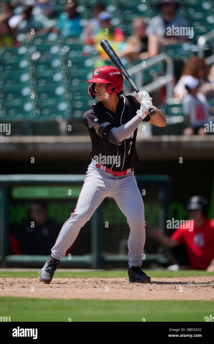 Chattanooga Lookouts Dominic Pitelli (2) bats during an MiLB Southern ...
