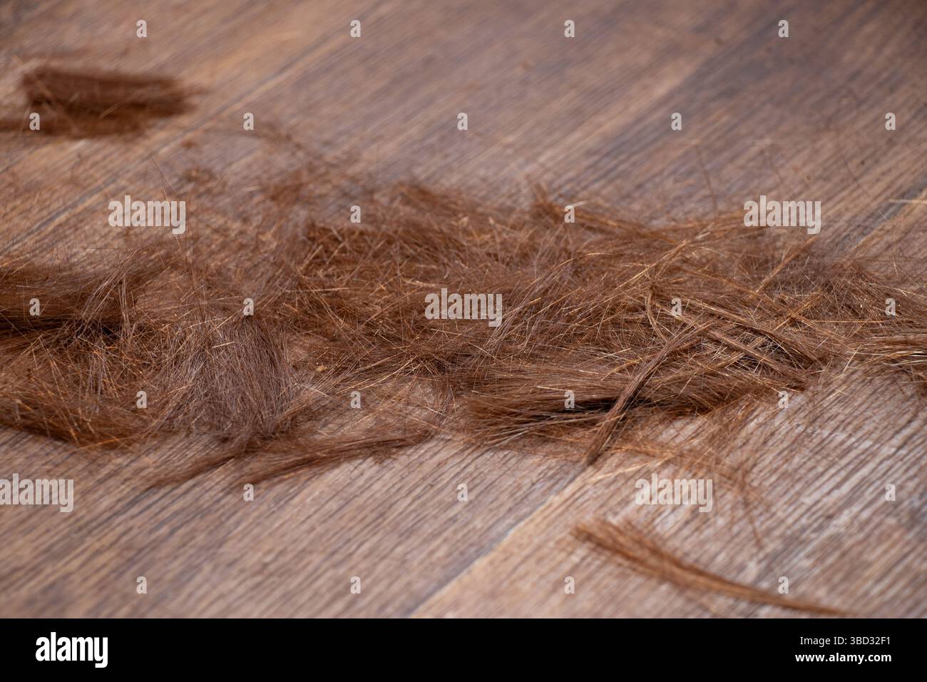 Womens hair trimming salon hi-res stock photography and images - Alamy