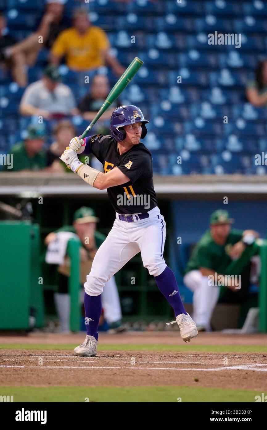 East Carolina Pirates Alex Peltier (11) bats during an American ...