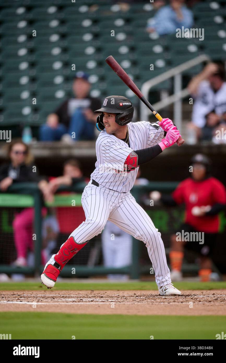 Birmingham Barons William Bergolla (19) bats during an MiLB Southern ...