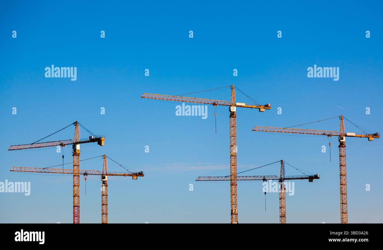 Tall tower cranes stand against the blue sky Stock Photo - Alamy
