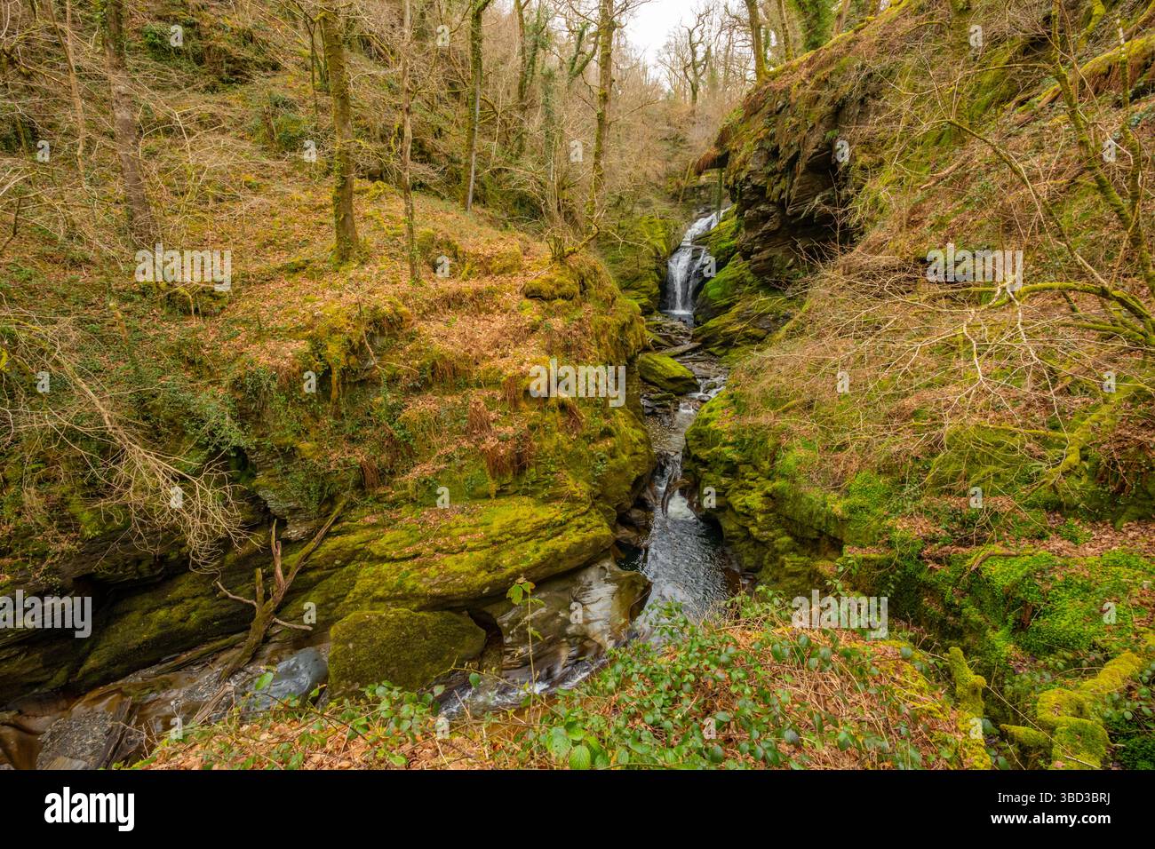 Waterfall on the Afon Cynfal near Ffestiniog North Wales Stock Photo ...