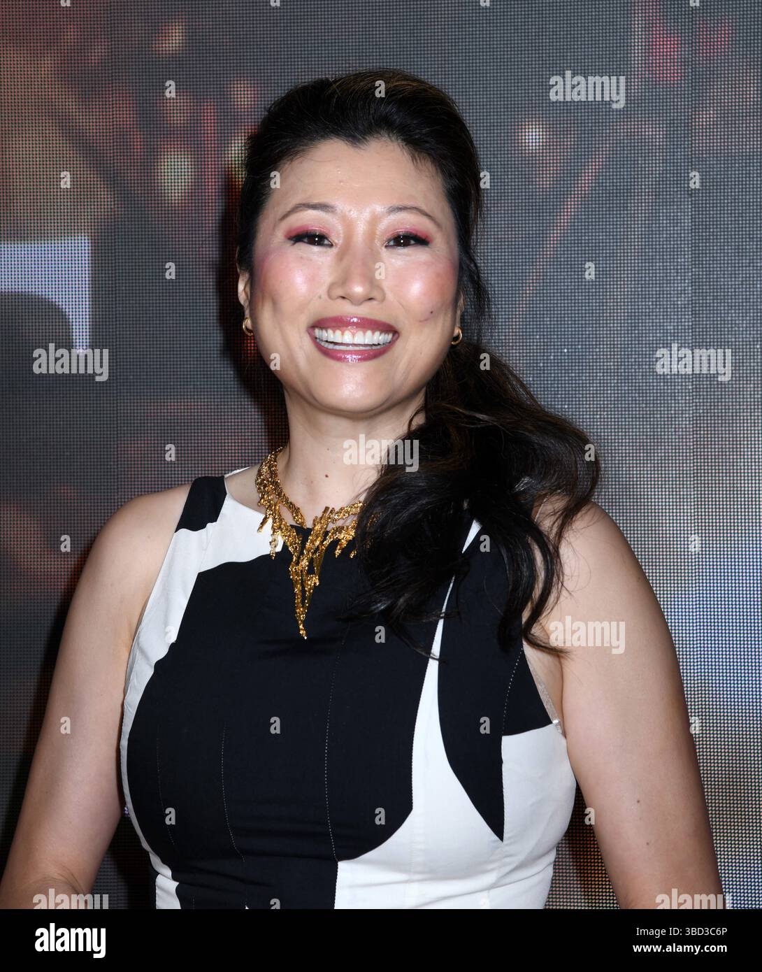 May 21, 2025, New York, Ny, United States: Deborah S. Craig attends the ...