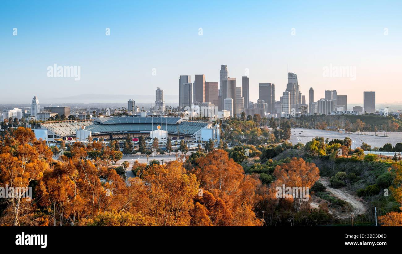 The skyline of los angeles seen from the elysian park Stock Photo - Alamy