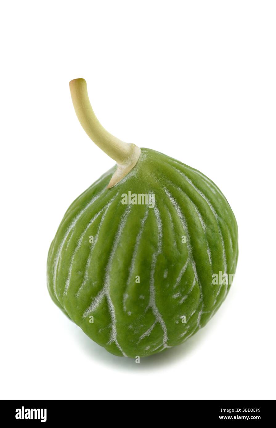 Small apple tree fruit Cut Out Stock Images & Pictures - Alamy