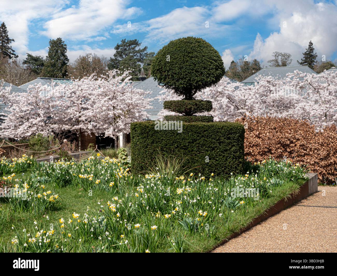 Yew topiary hi-res stock photography and images - Alamy
